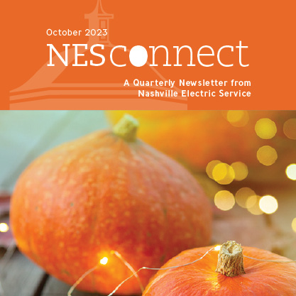 Community Info | NES